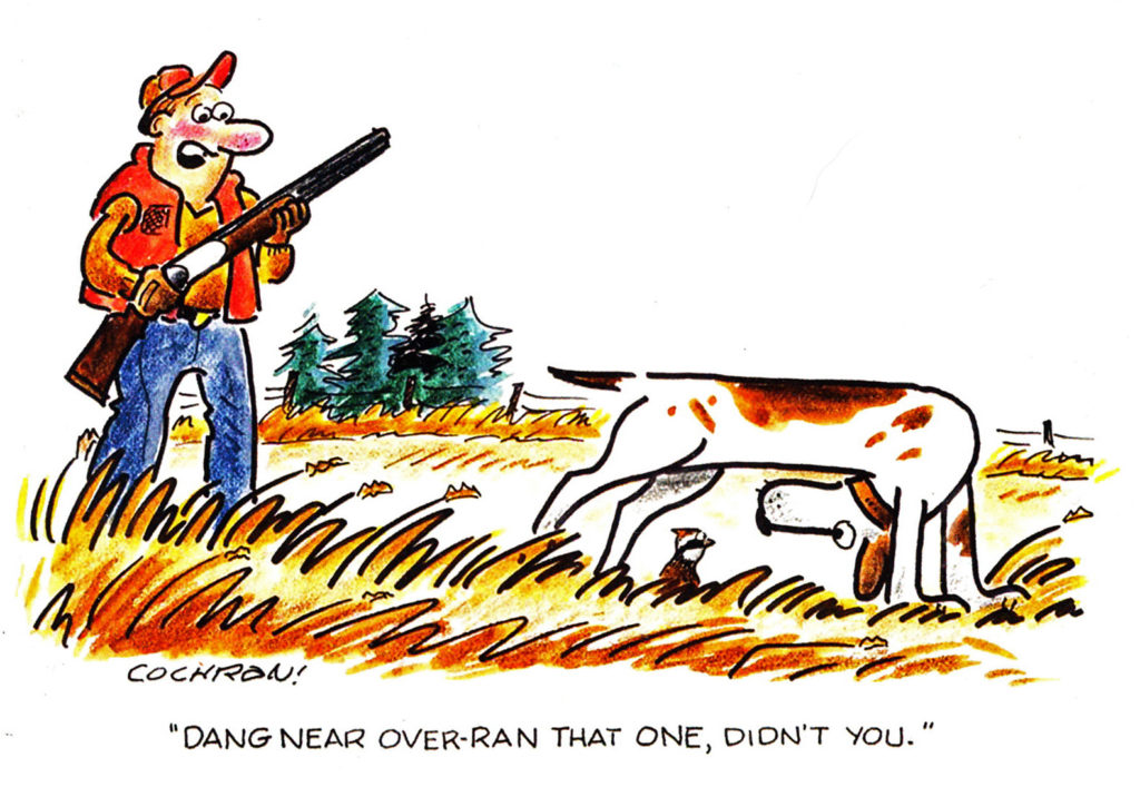 Cochran's Cartoons