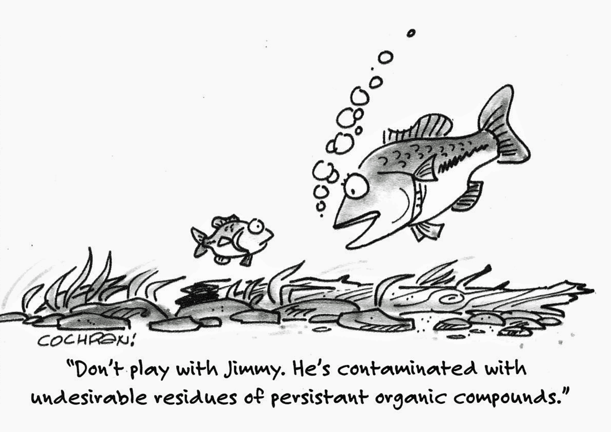Cochran's Cartoons