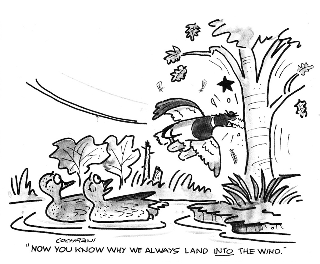 Cochran's Cartoons