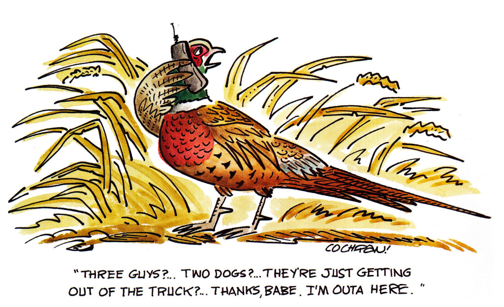 Cochran's Cartoons