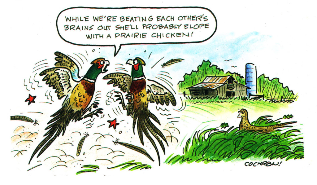 Cochran's Cartoons
