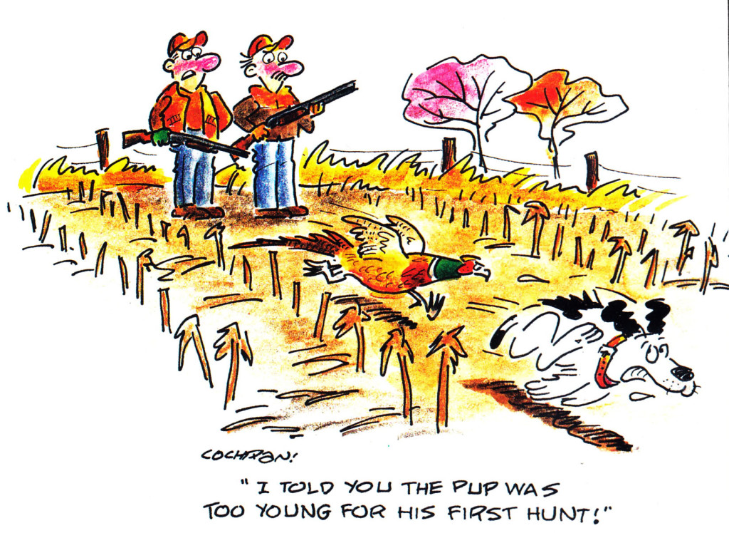 Cochran's Cartoons