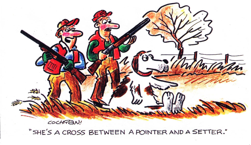 Cochran's Cartoons
