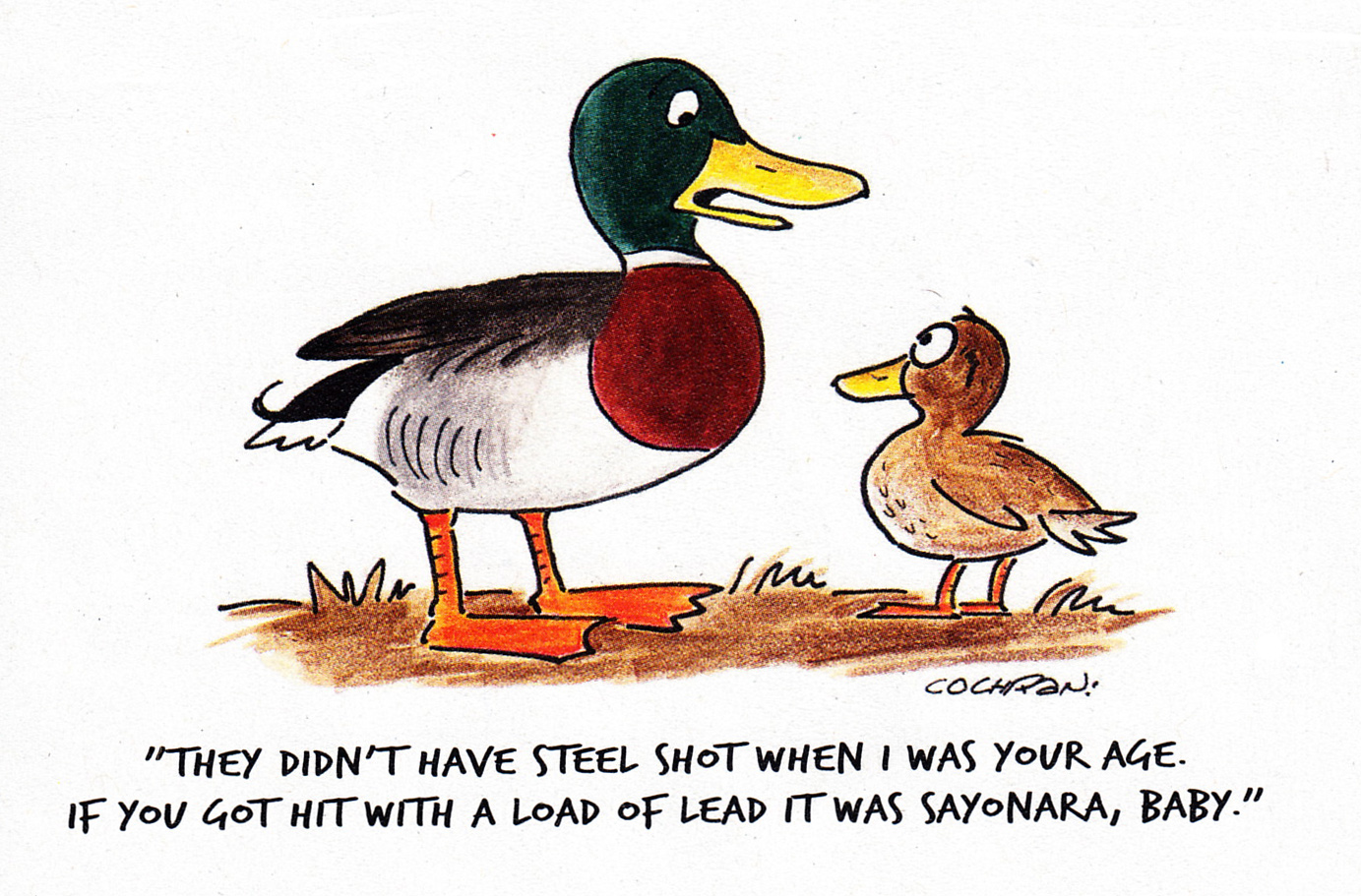 toon 1 – Cochran's Cartoons