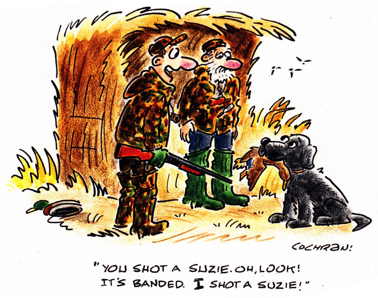 Cochran's Cartoons