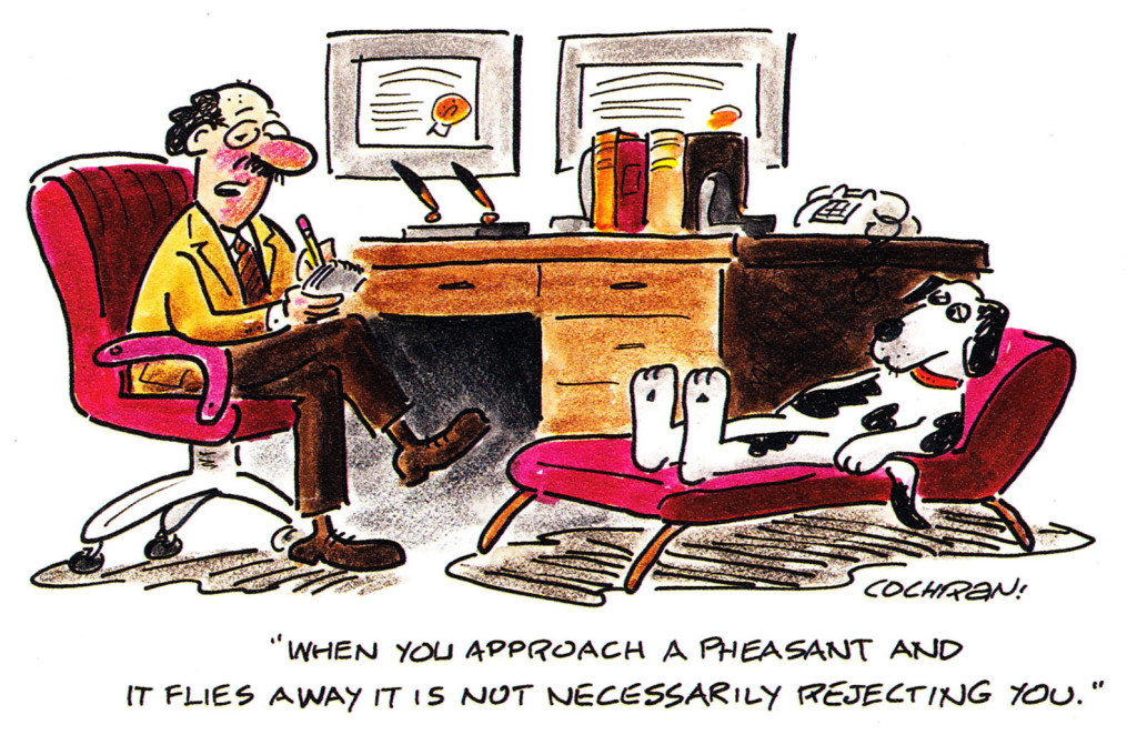 Cochran's Cartoons