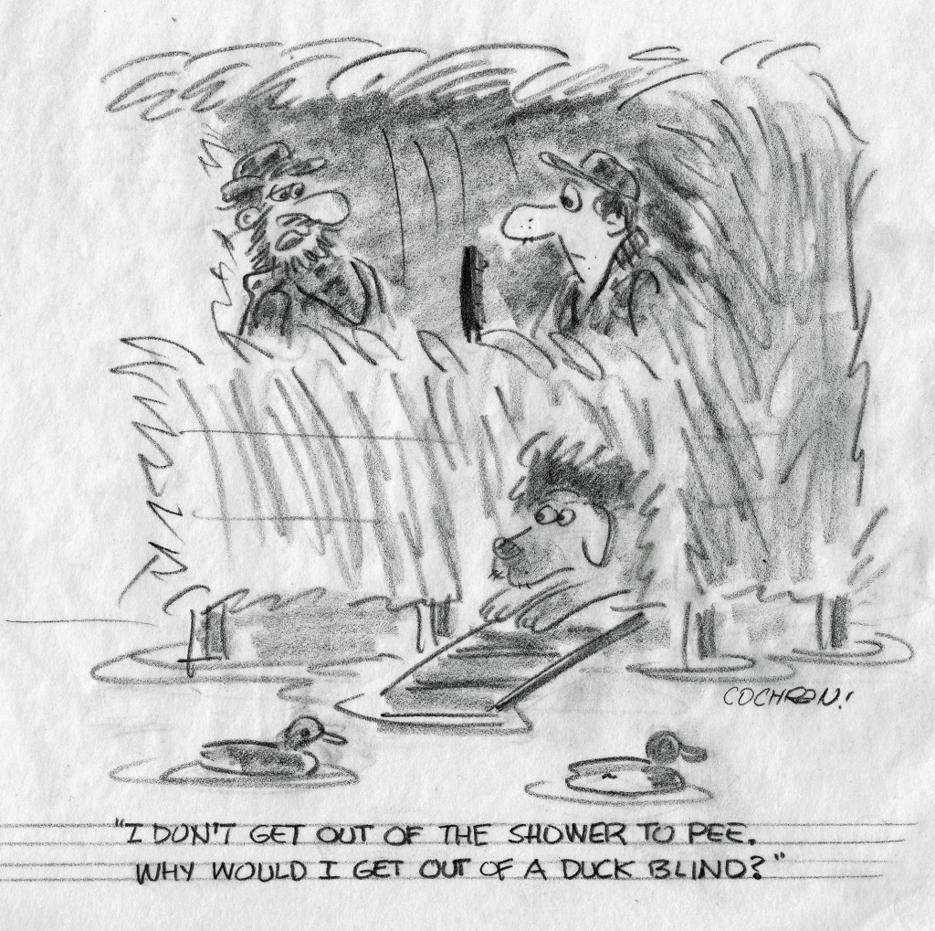 Tweener Time – Cochran's Cartoons